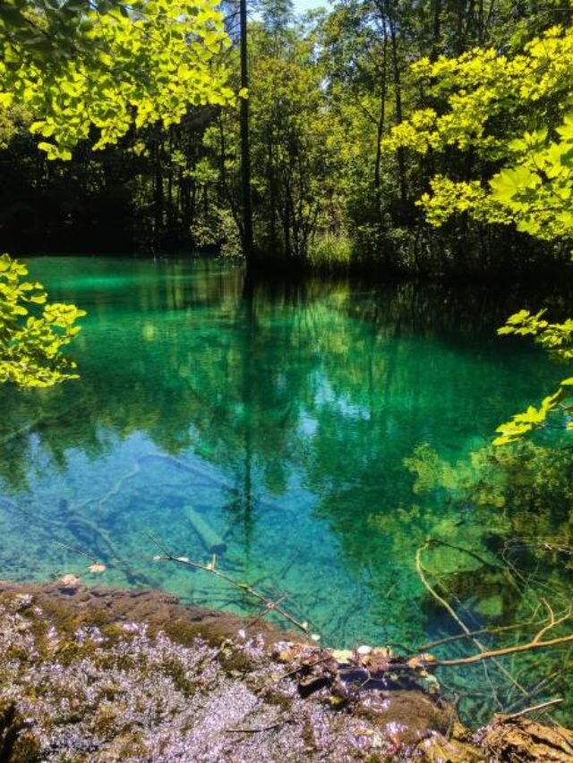 Explore Everglades National Park: Wildlife, Wetlands & Adventure ...