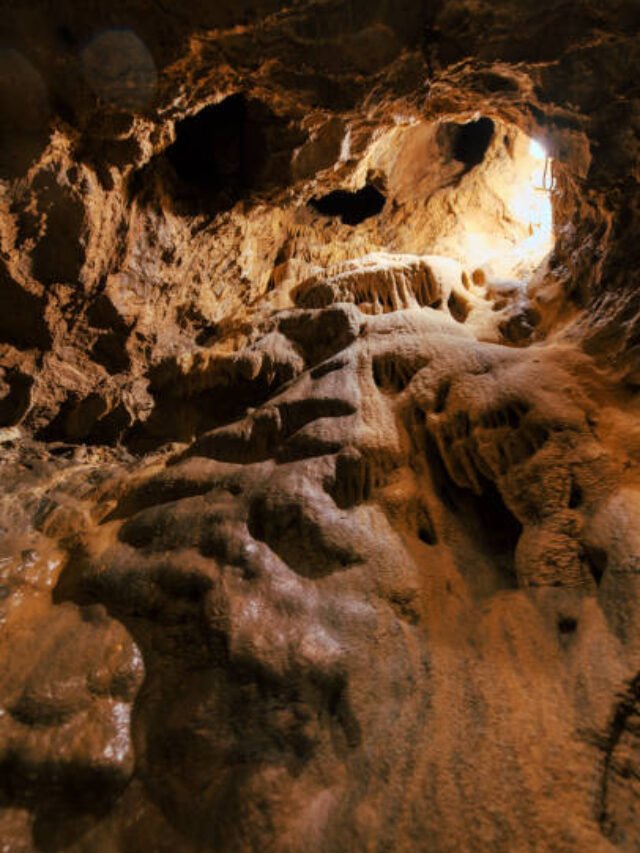Wind Cave National Park: A Hidden World Beneath the Prairie ...